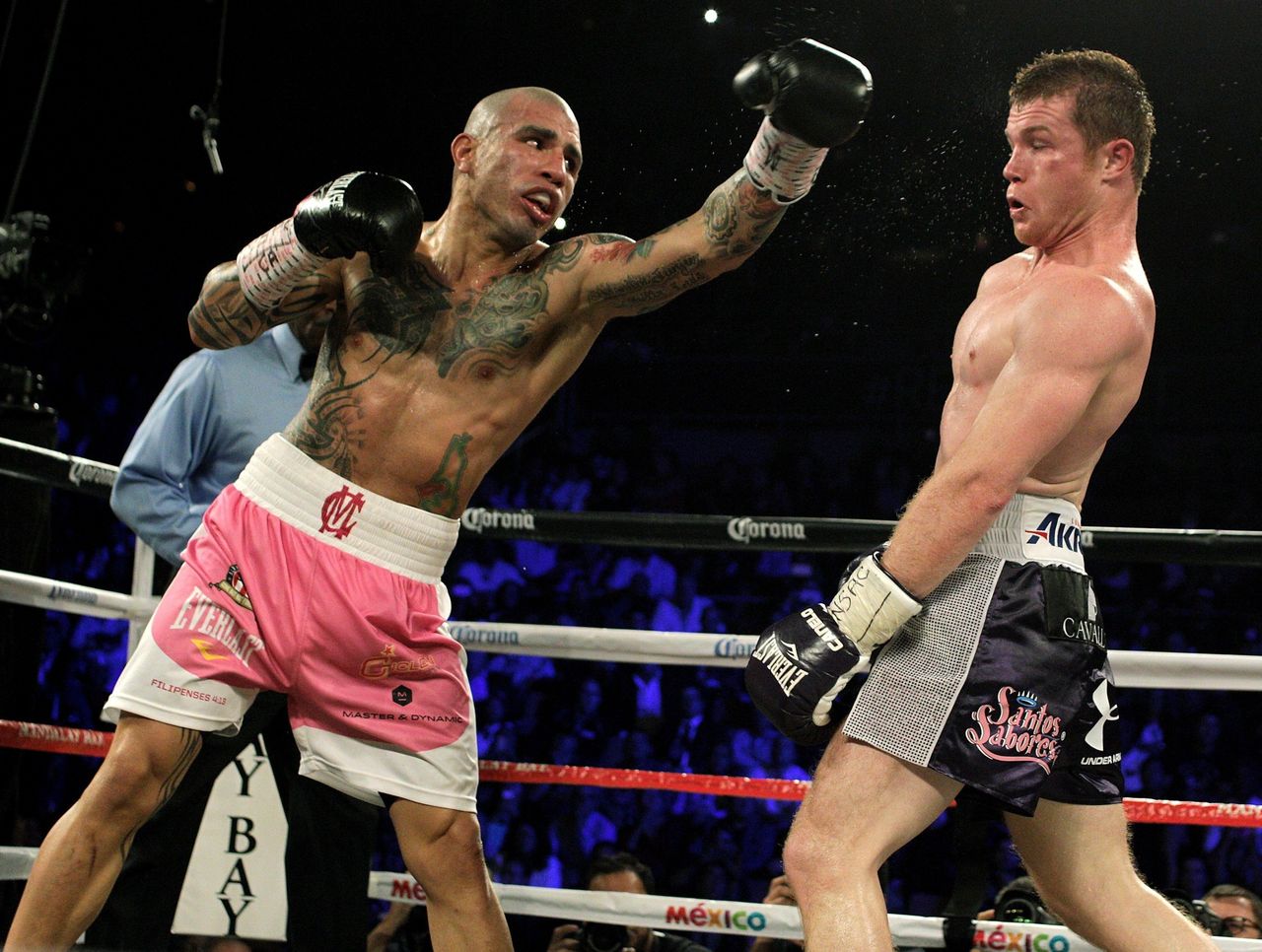 7 photos you need to see from the Alvarez-Cotto fight | theScore.com
