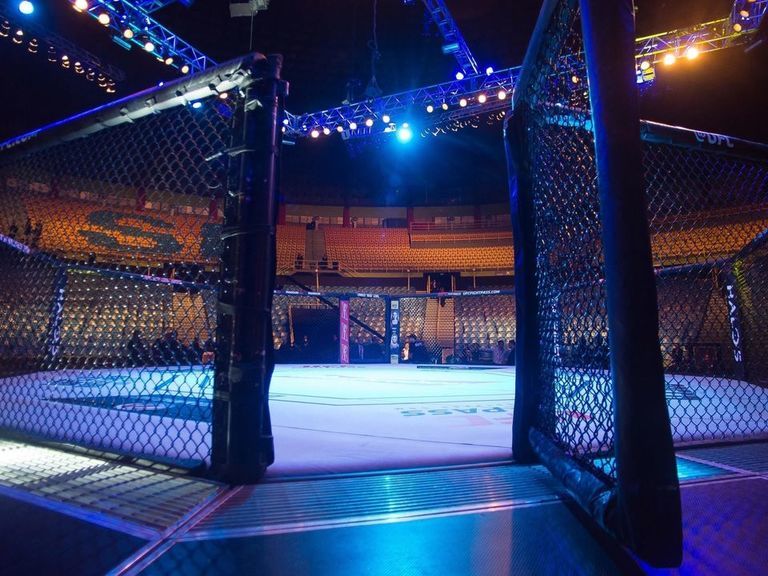 Report: Commentator Todd Grisham to make UFC debut in January ...