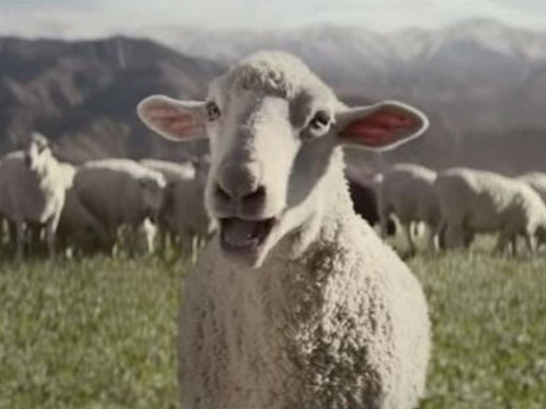VIDEO: Singing sheep steal the show in Honda's Super Bowl ad | theScore.com