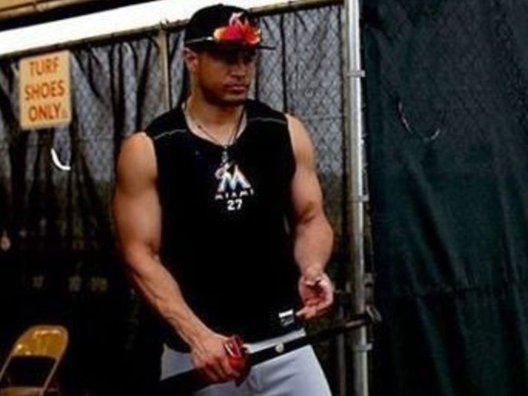 Stanton testing new bat to ease pressure on hands | theScore.com