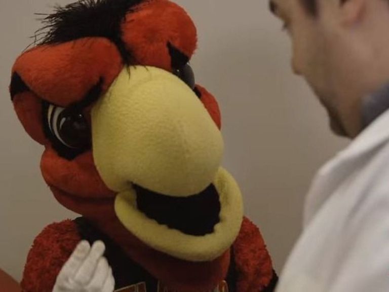 Harry the Hawk diagnosed with groin trauma | theScore.com