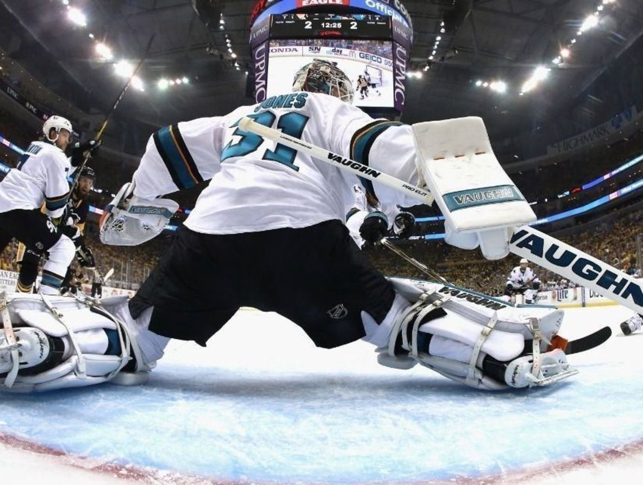 Squad Up Daily NHL Fantasy Dose: Cats and dogs meet on sloped desert ...