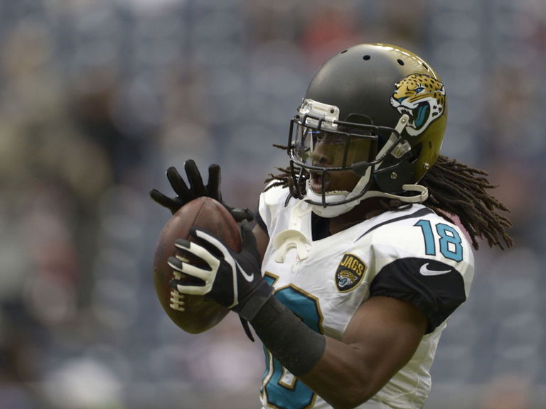 Jaguars release Ace Sanders | theScore.com