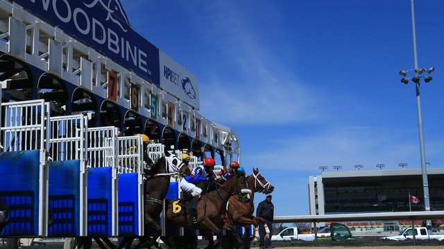 Queen's Plate Preview: Breaking down the contenders | theSc…