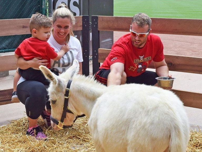 Watch: Cozart's family gets 1st look at donkey 'Donald' | theScore.com