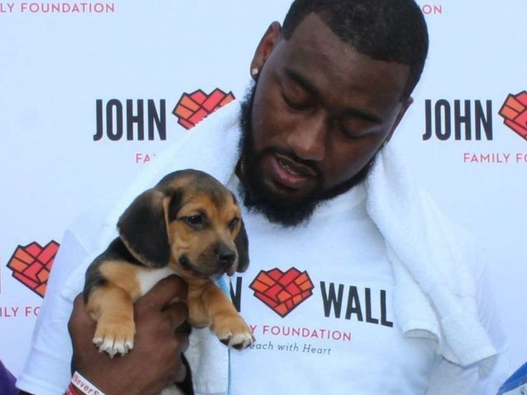 NBA teams celebrate National Dog Day on Twitter | theScore.com