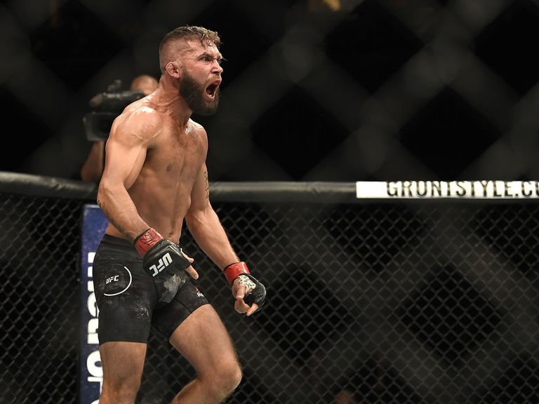 Did illegal blows lead to Stephens' KO of Emmett at UFC Orlando ...