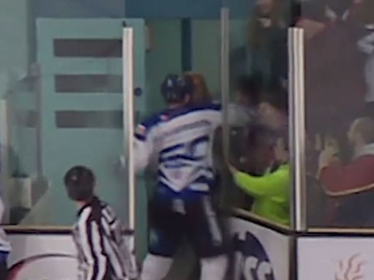 EIHL player sacked by team after punching fan | theScore.com