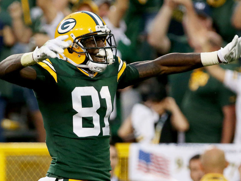 Ex-Packer Allison agrees to terms with Lions | theScore.com