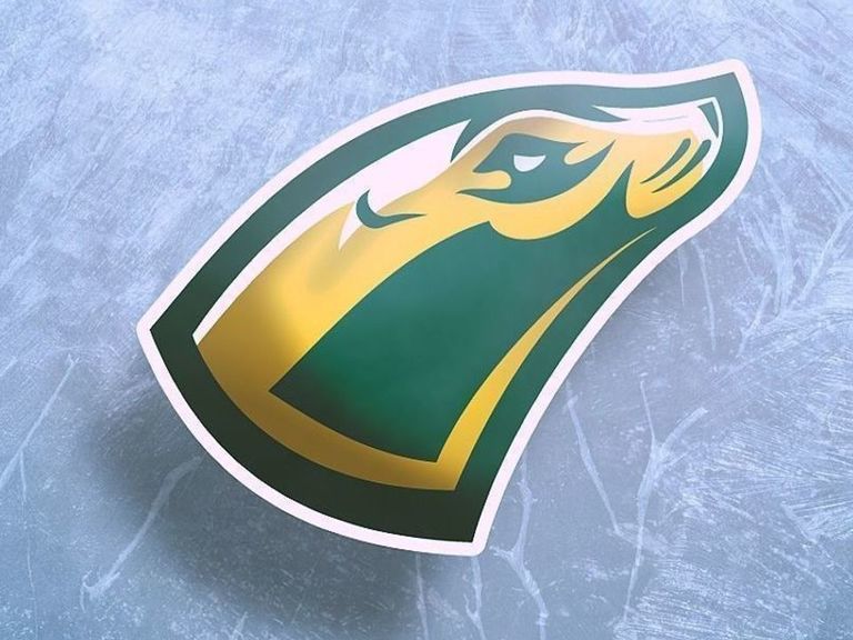 4 potential names, logos for Seattle's new franchise | theScore.com