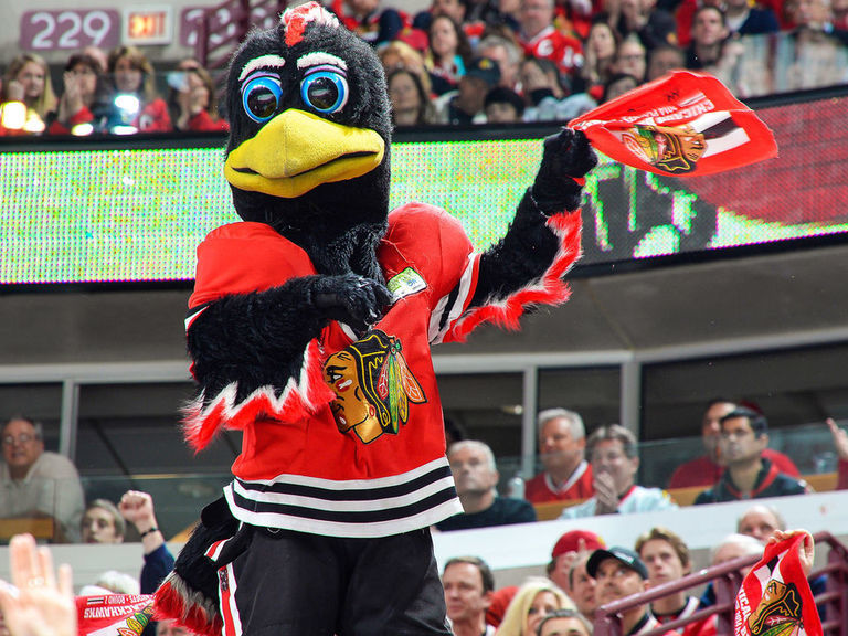 Police notified after fan fights Blackhawks' mascot | theScore.com