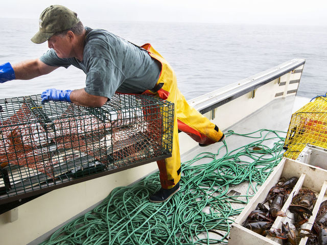 Ex-Red Sox manager John Farrell now working as lobster fish…