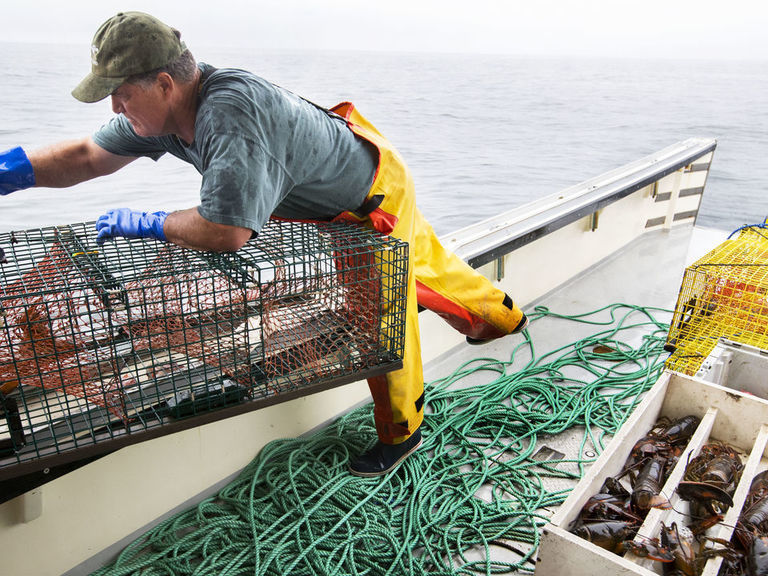 Ex-Red Sox manager John Farrell now working as lobster fisherman ...