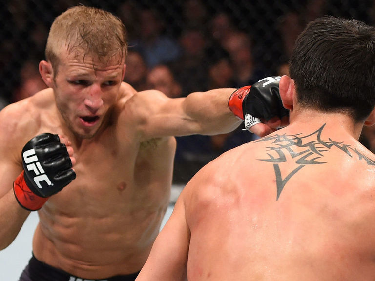 Dillashaw: 'Awkward fighting style' will give Cruz edge vs. Cejudo ...