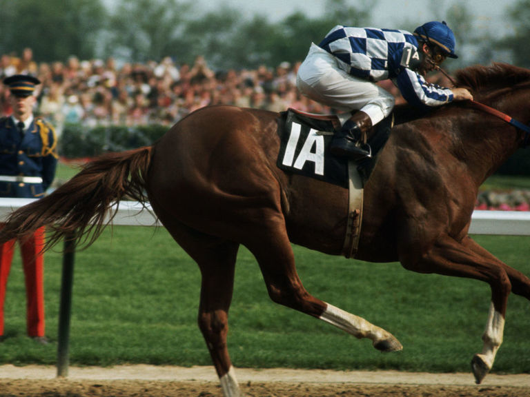 Hair from Triple Crown winner Secretariat sells for over $18K ...