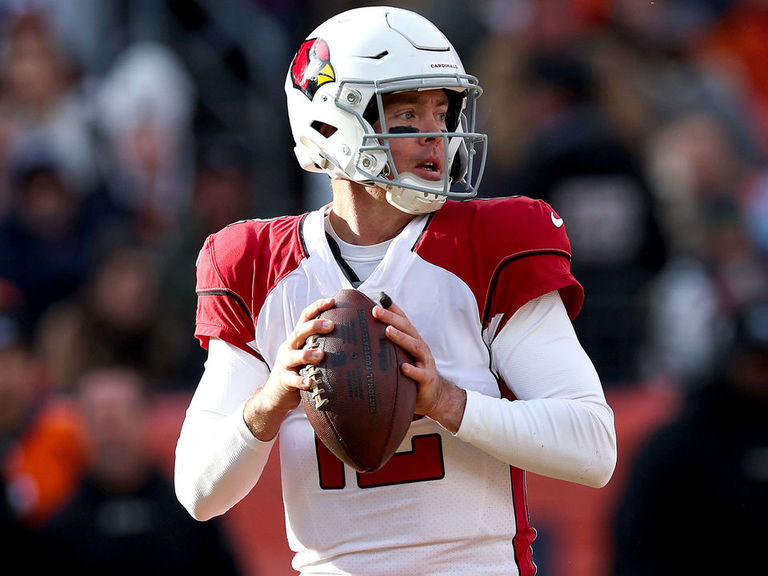 Cardinals down to 3rd-string QB as McCoy suffers concussion | theScore.com