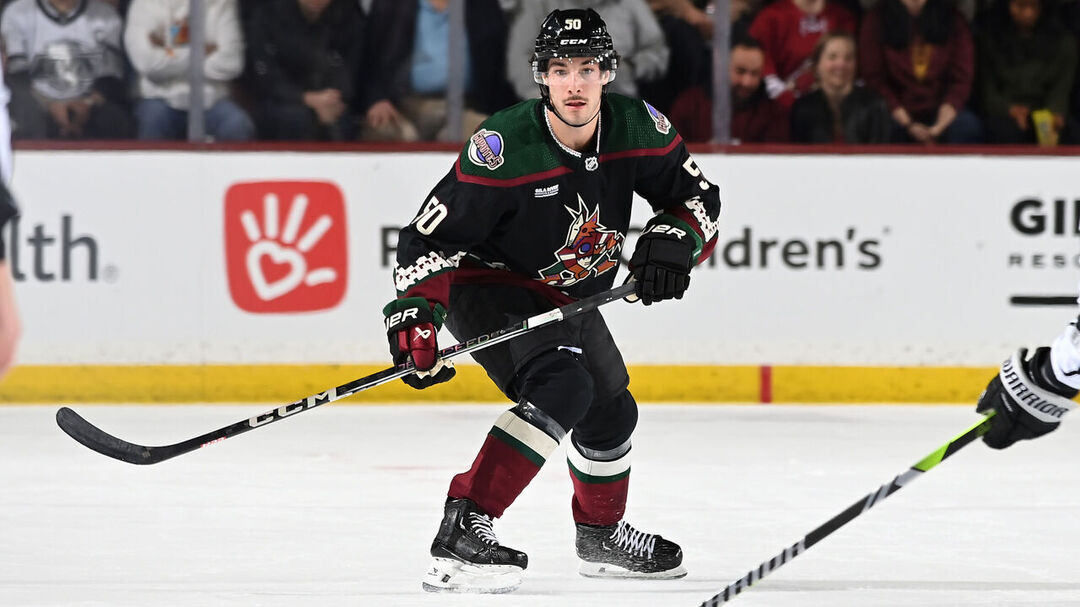Why the Coyotes are (finally) headed in the right direction on the ice ...