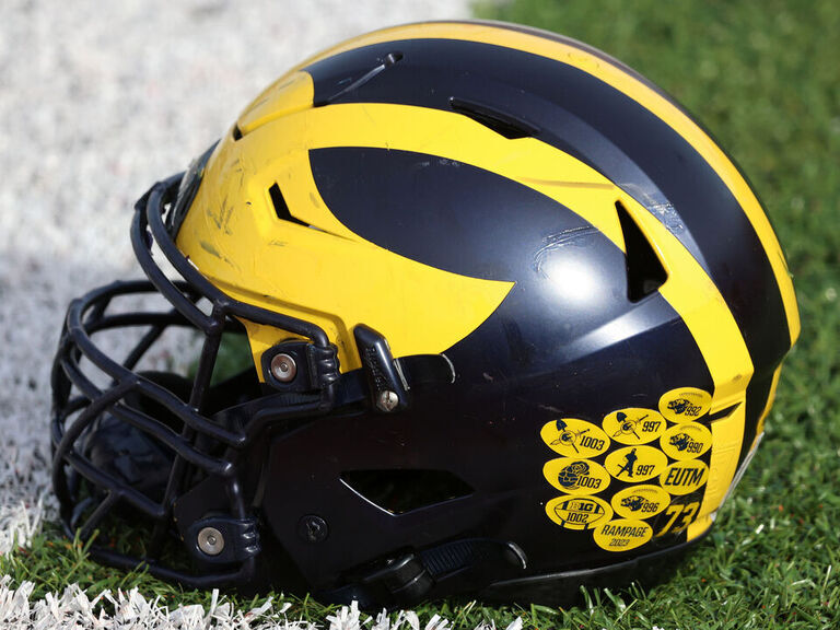 Report: Michigan's Stalions wore disguise on sideline for MSU vs. CMU ...