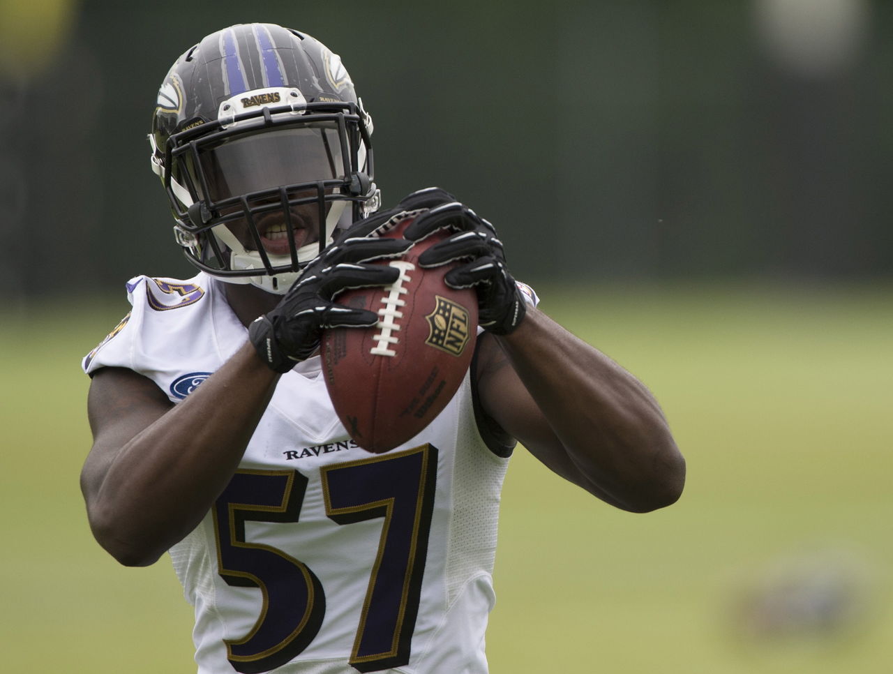 Rookie Report: Lorenzo Taliaferro, Jerick McKinnon break ou…