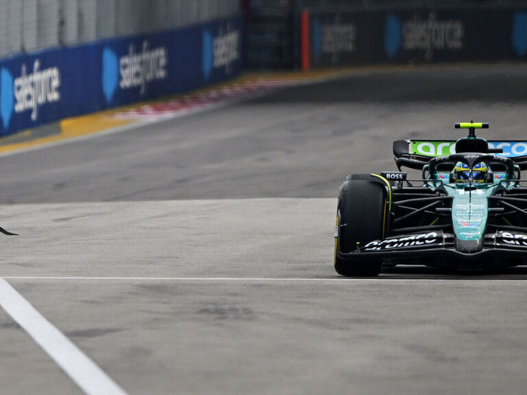 Lizard on track halts Formula 1 practice in Singapore | theScore.com