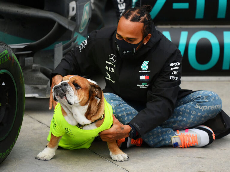 Hamilton: Death of dog Roscoe 'one of the most painful experiences ...